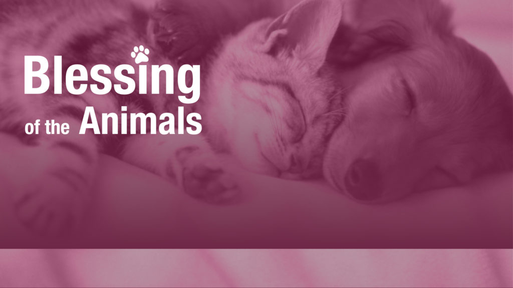 Blessing of the Animals Weekend – Nativity Lutheran Church