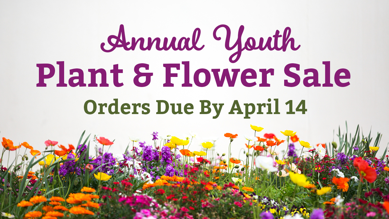 Get Ready for Spring with the Youth Plant Sale! – Nativity Lutheran Church